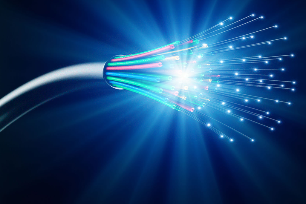 fibra_modificada3.png